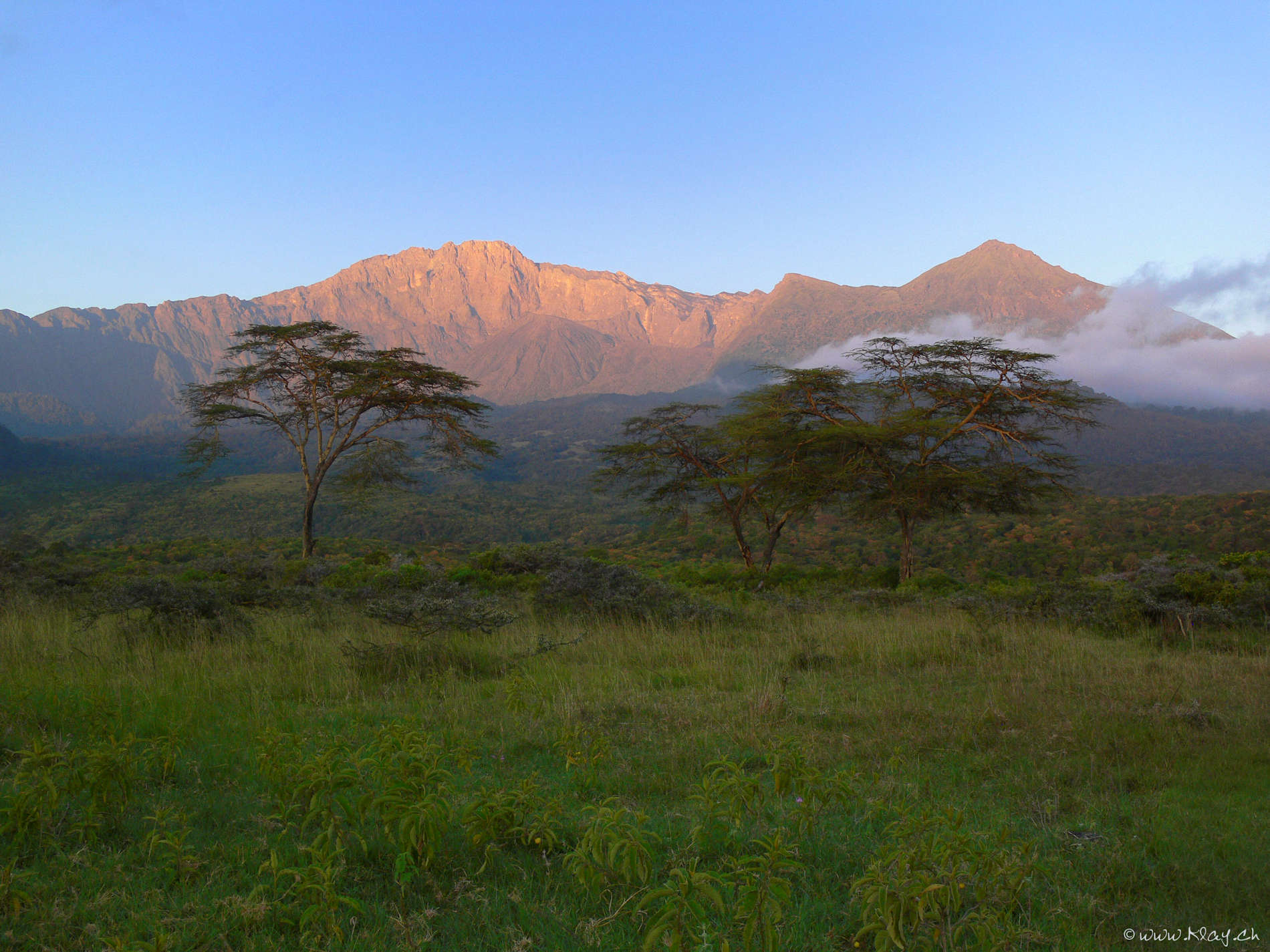 Arusha Nationalpark - Tansania Safaris