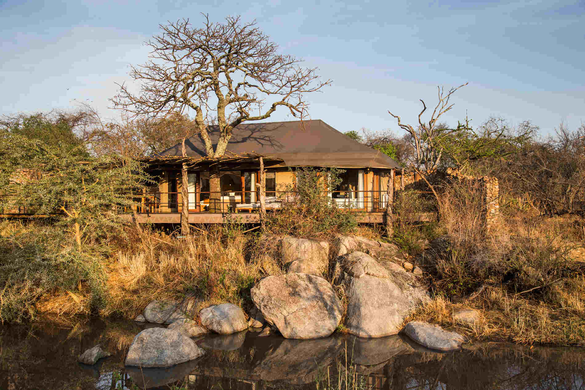 Mwiba Lodge - Tansania Safaris