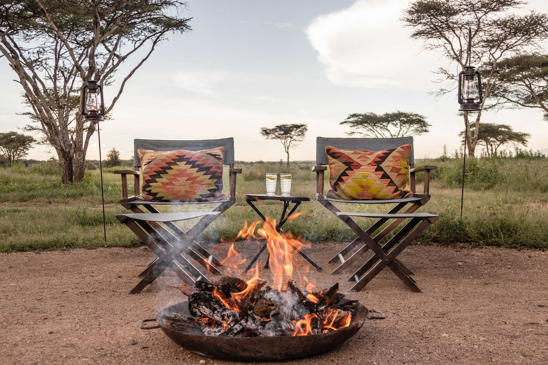 Nyasi Migrational Camp - Tansania Safaris