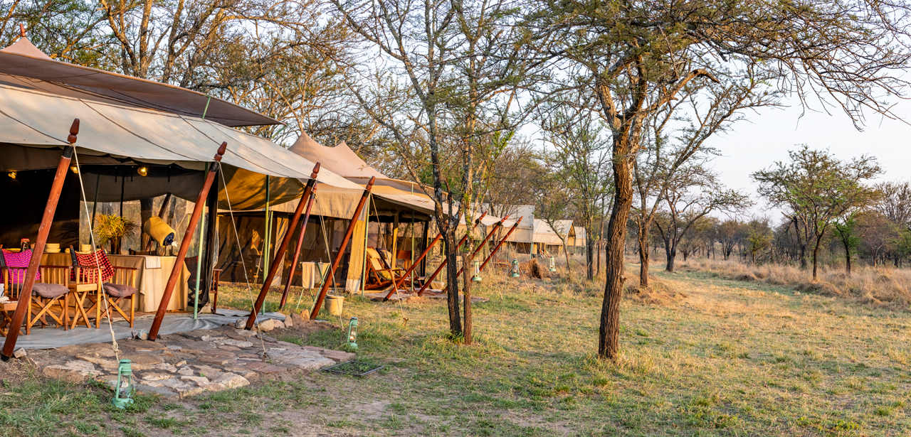 Esirai Camp - Tansania Safaris