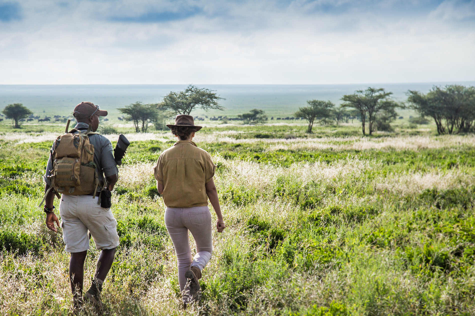 Nyasi Migrational Camp - Tansania Safaris