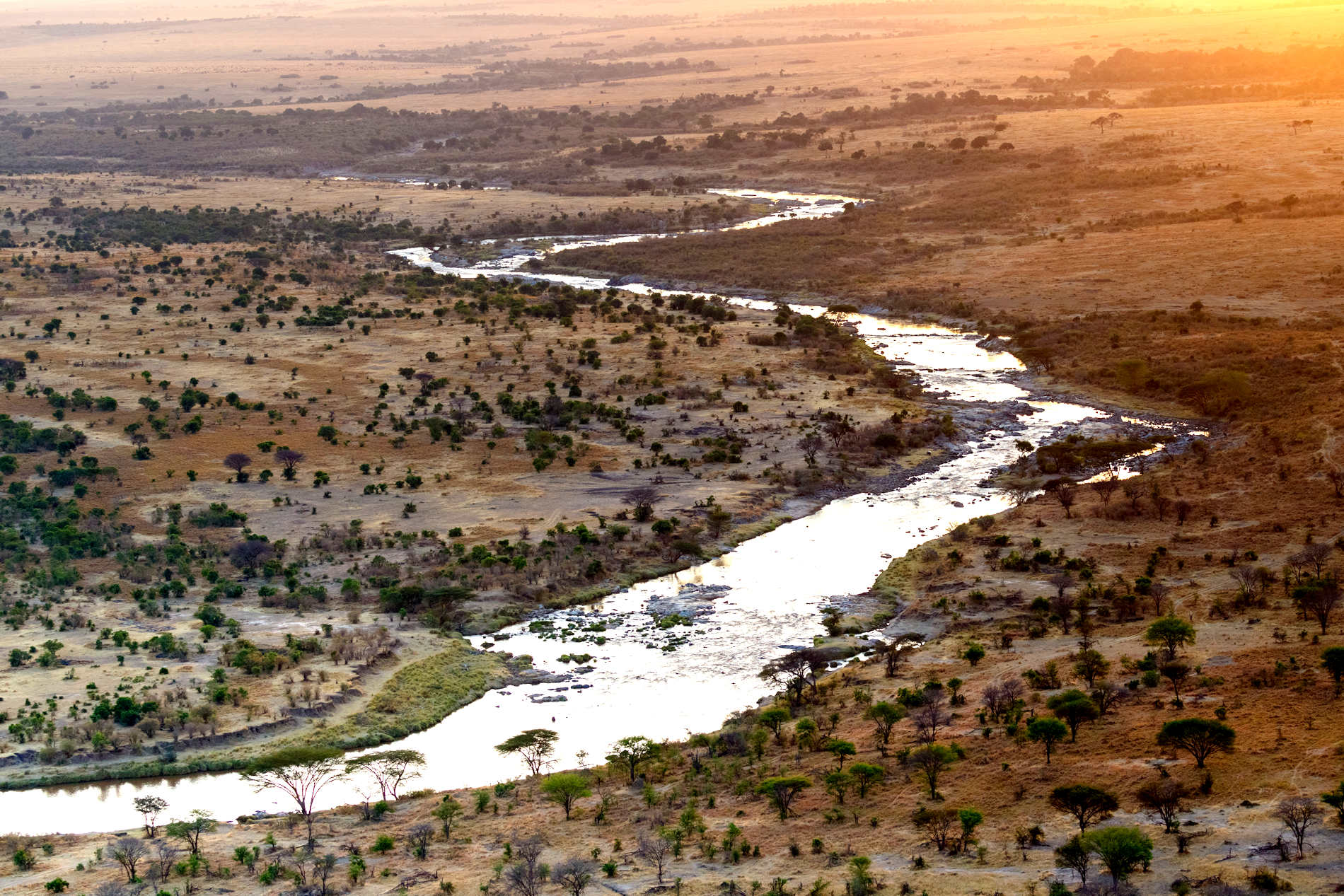 Mara Mara Tented Lodge - Tansania Safaris