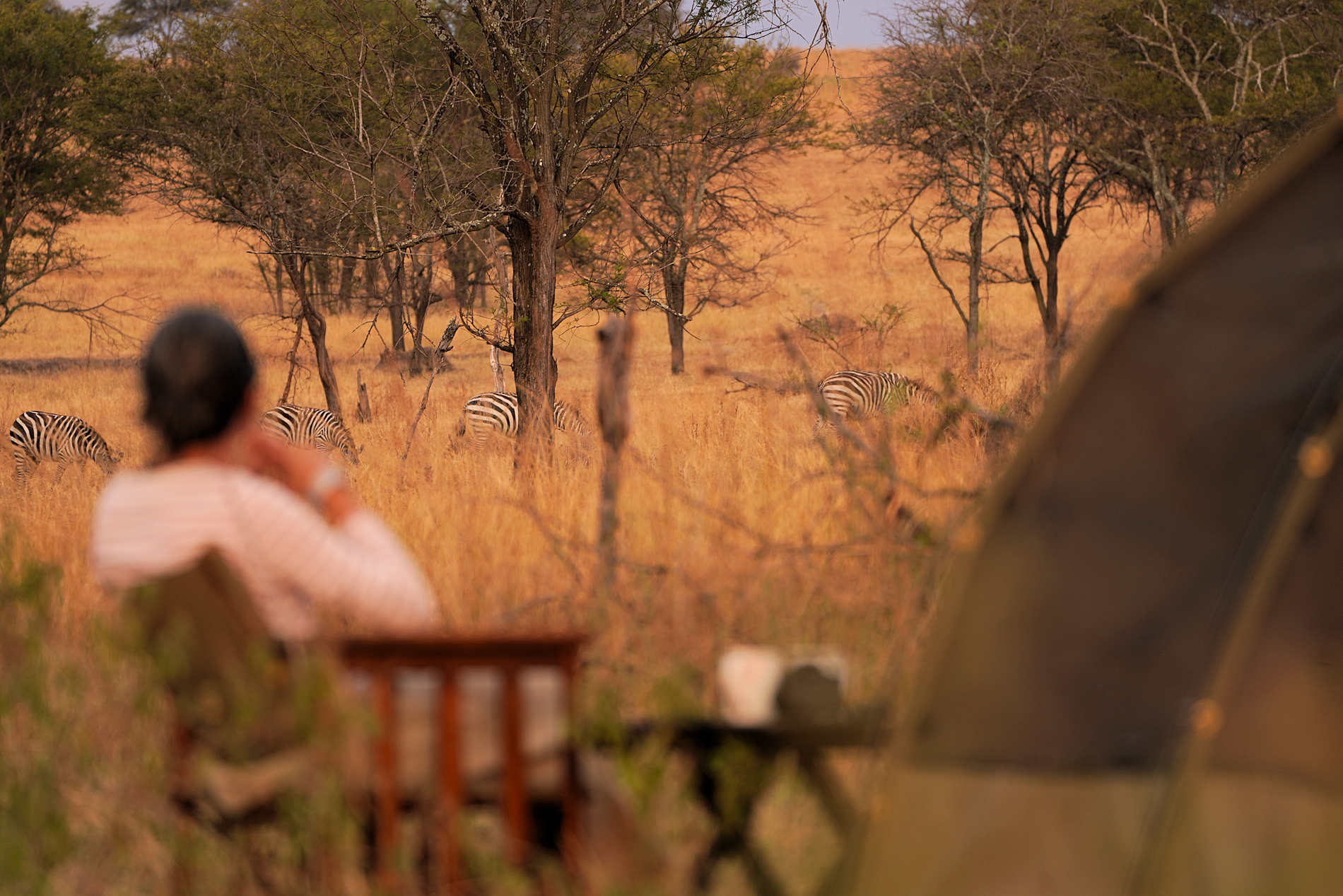 Wayo Walking Camp - Tansania Safaris