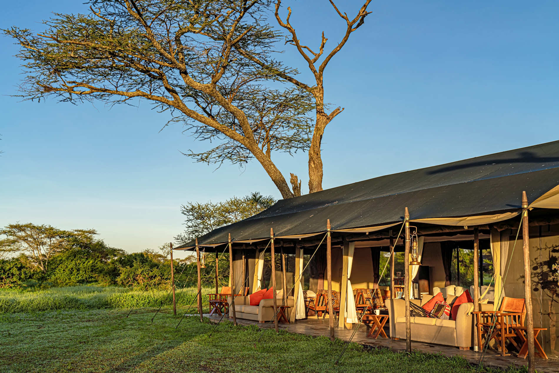 Lemala Mara Camp - Tansania Safaris