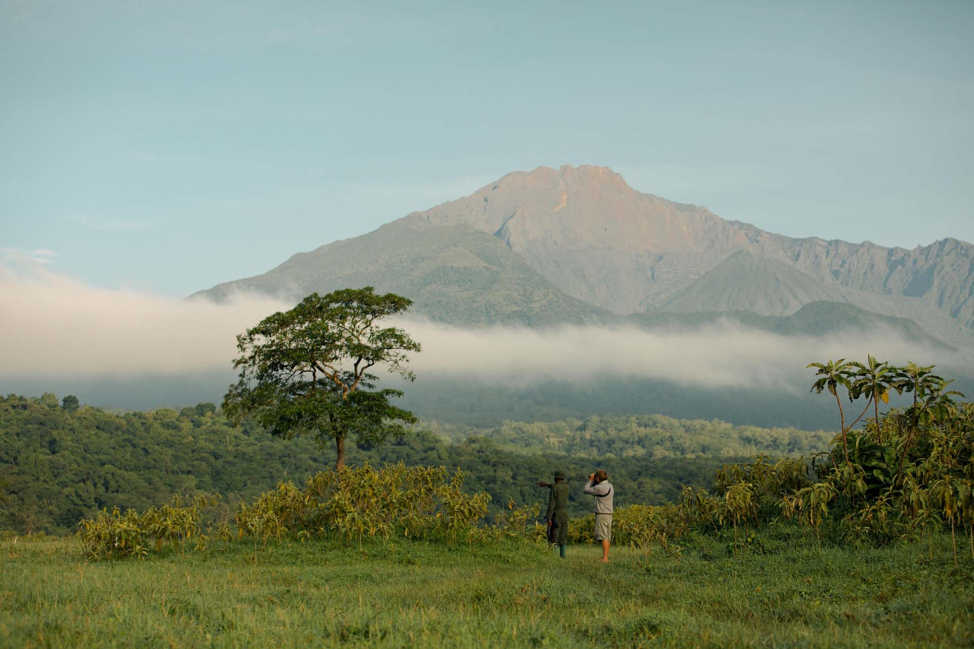 Koroi Forest Camp - Tansania Safaris